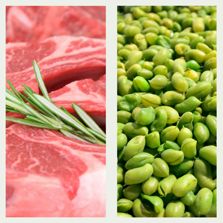 Impact Pathways: The Impact Institute Approach to Identifying Impacts ...